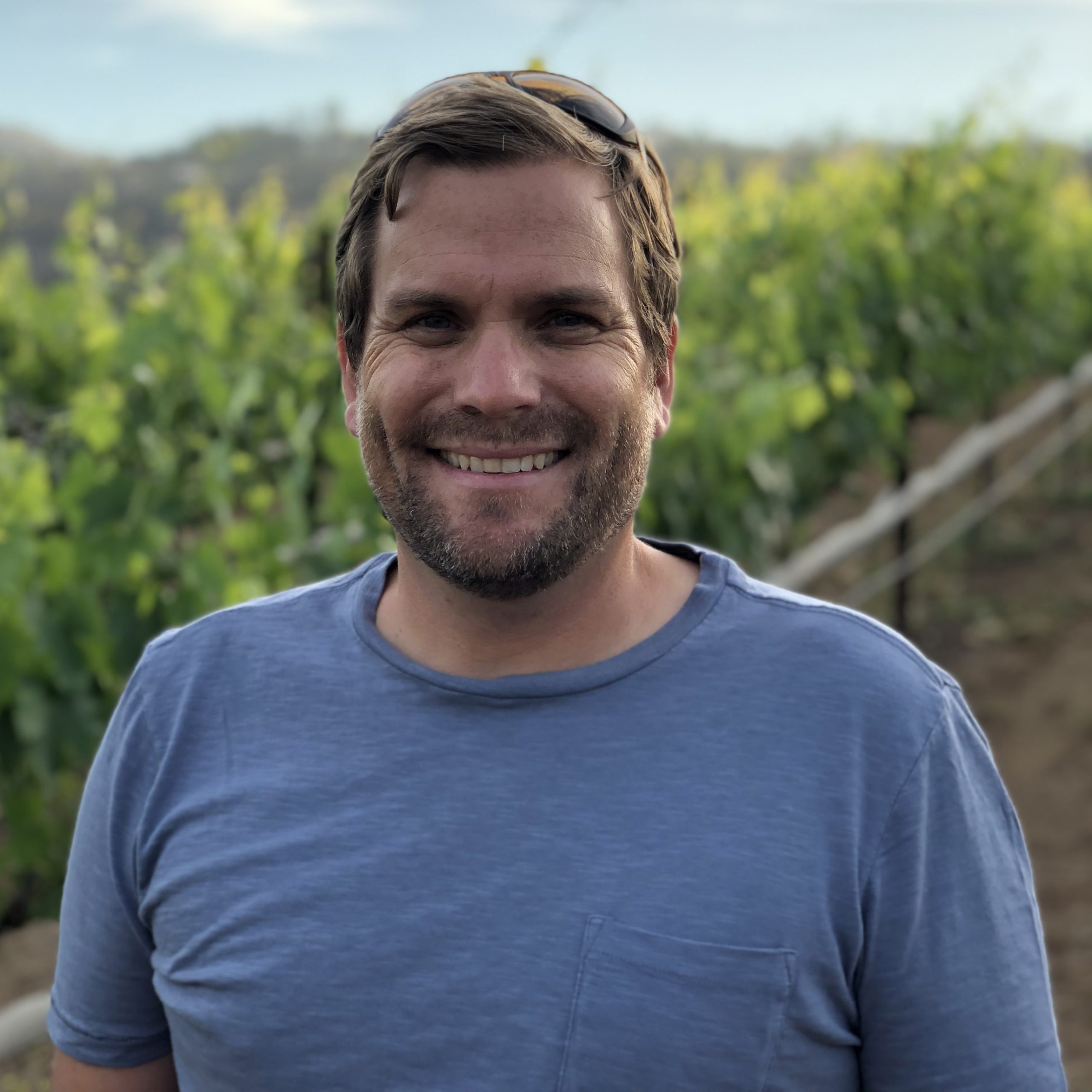 Jesse York - Evoscapes